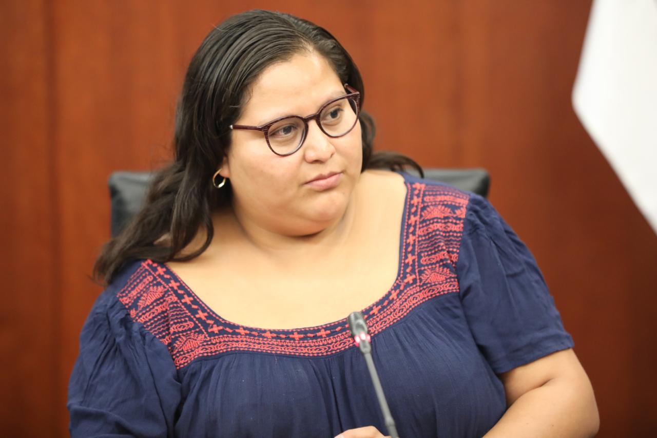 Citlalli Hernández, presidenta de Comisión Nacional de Elecciones de Morena