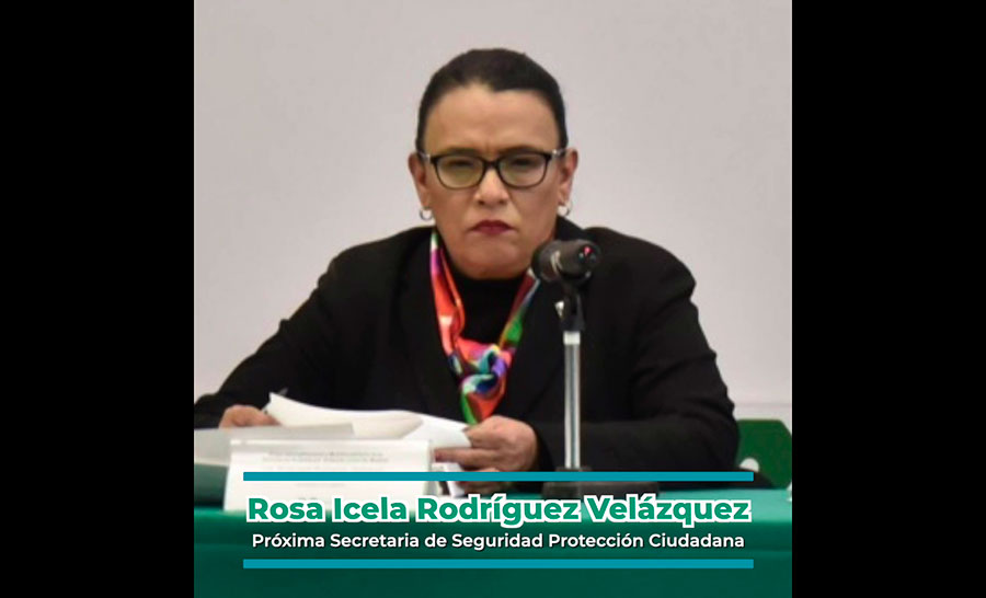 ¿Es Rosa I. Rodríguez la apuesta correcta como secretaria de Seguridad?