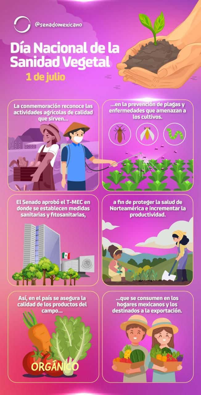 Senado promueve la sanidad vegetal en México