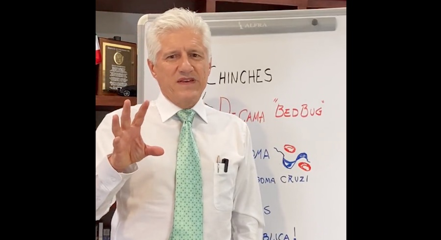 Chinches: ¿epidemia o psicosis colectiva?